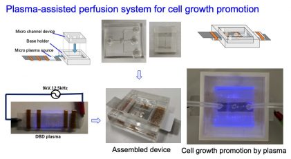 Plasma-assisted microperfusion system for promoted cell growth ...