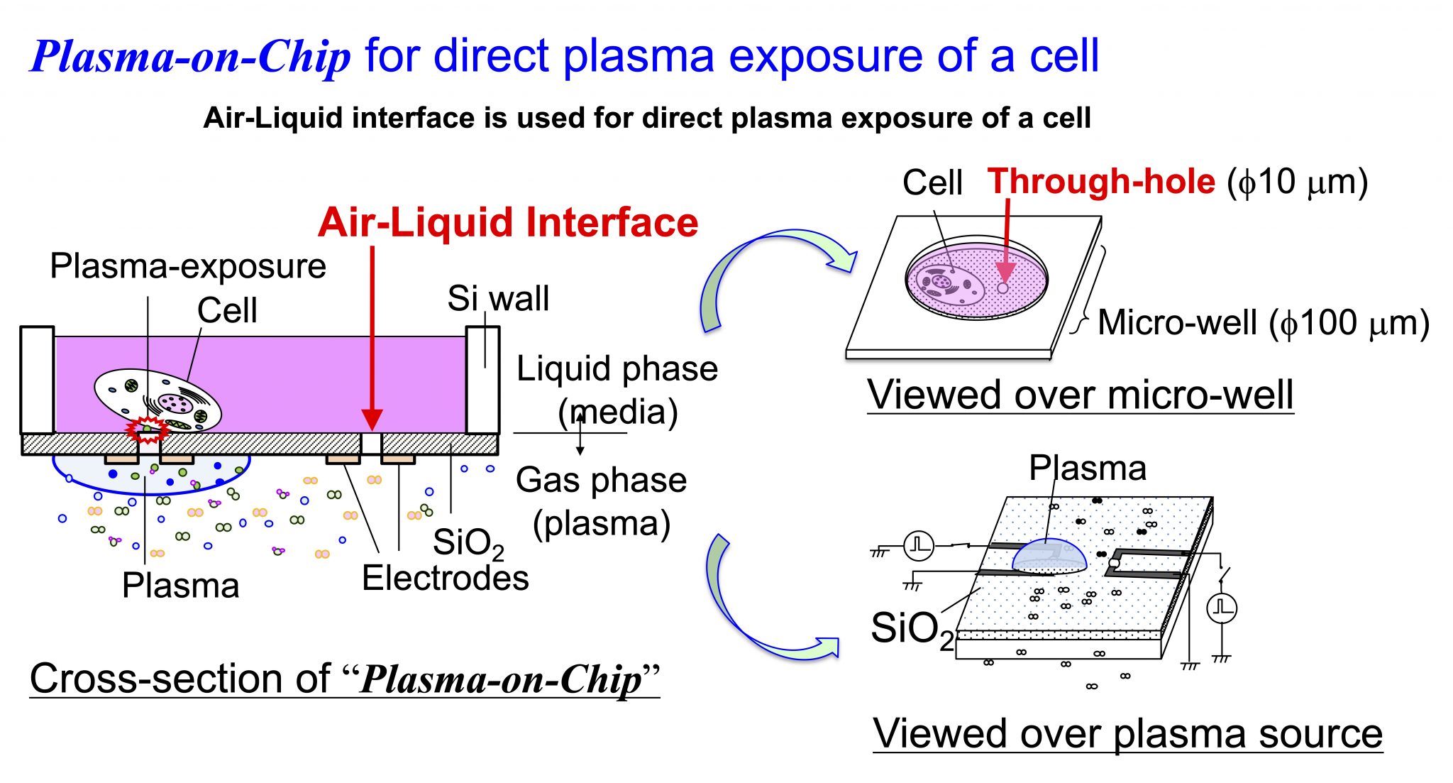 Plasma-on-Chip | Kumagai Laboratory, Dept. of Electrical and Electronic ...