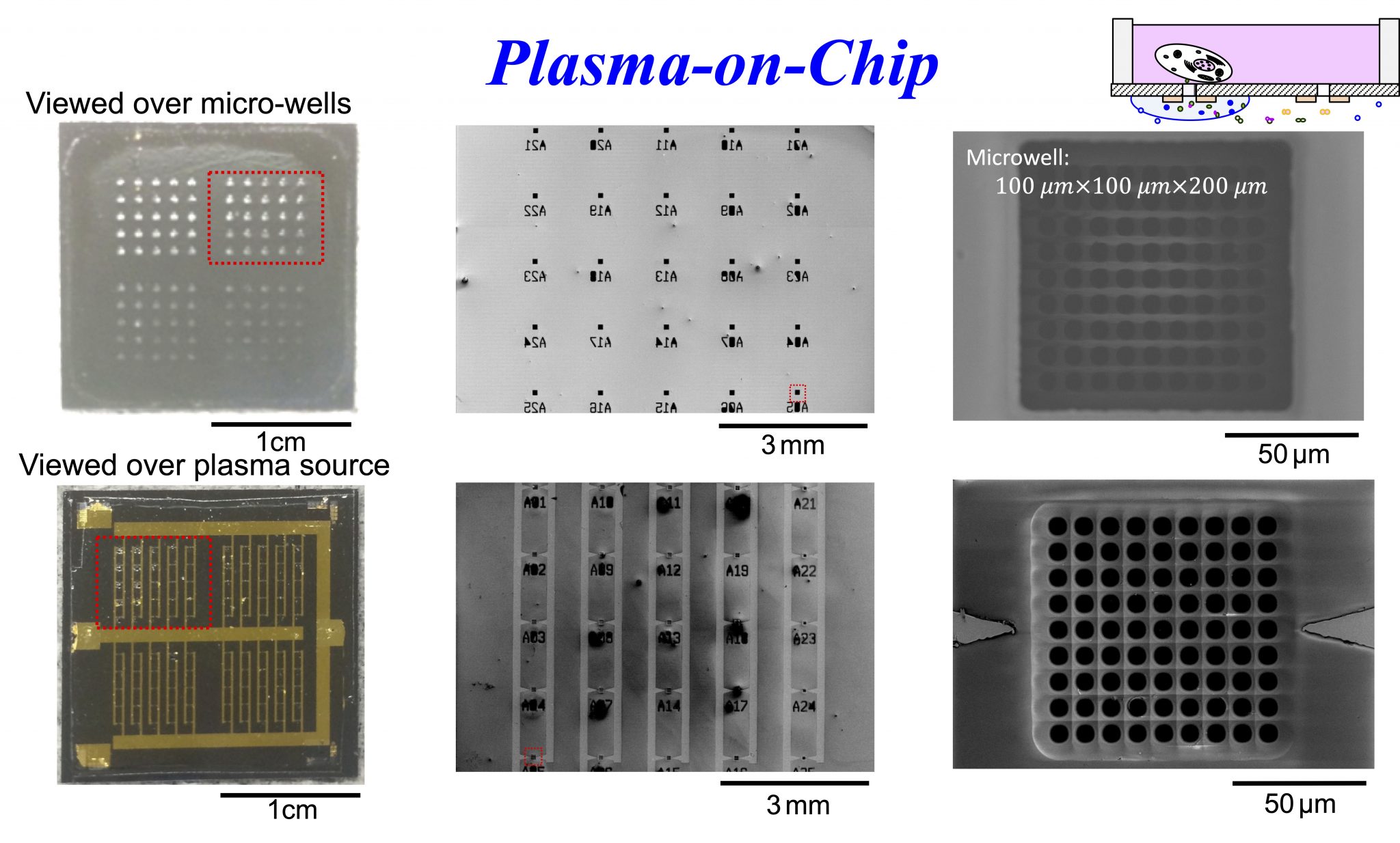 Plasma-on-Chip | Kumagai Laboratory, Dept. of Electrical and Electronic ...
